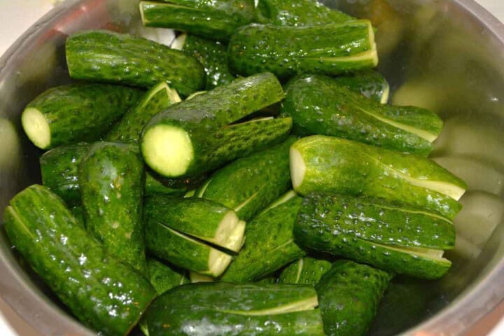 3 Day Delicious Sun Pickles Recipe-Timea's Kitchen