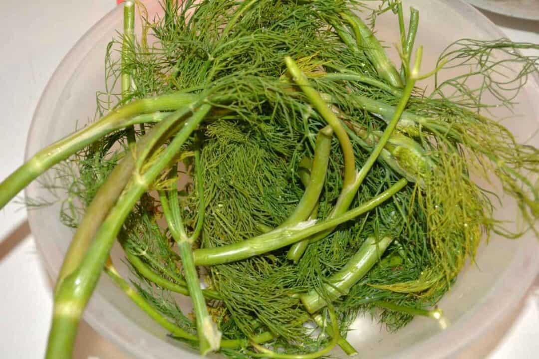 3 Day Delicious Sun Pickles Recipe-Timea's Kitchen